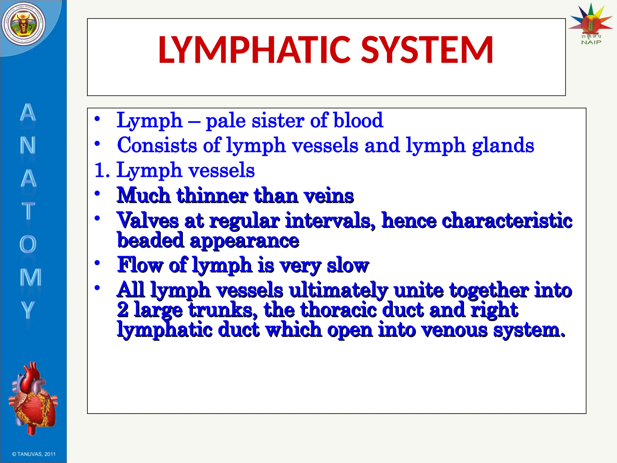 Lymphatic system of Animals and its mechanism | PPT