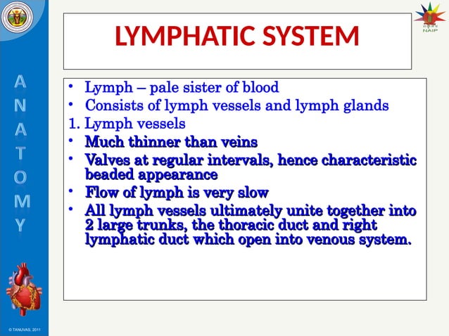 Lymphatic system of Animals and its mechanism | PPT