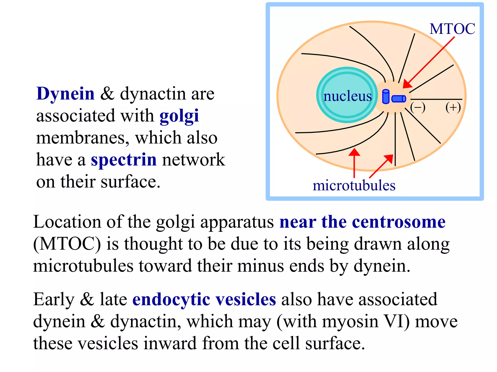 31-micromotor.ppt