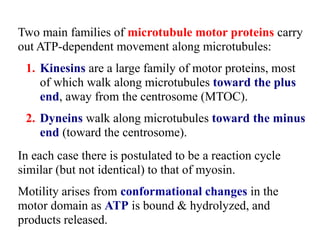 31-micromotor.ppt