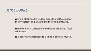 Smooth muscle types and structure physiology | PPTX
