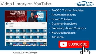 RESTful APIs and SBCs | PPT