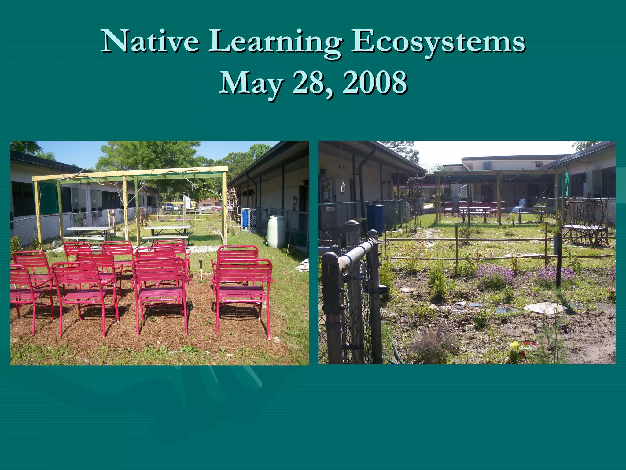 Native Learning Ecosystems - Our Outdoor Classroom | PPT