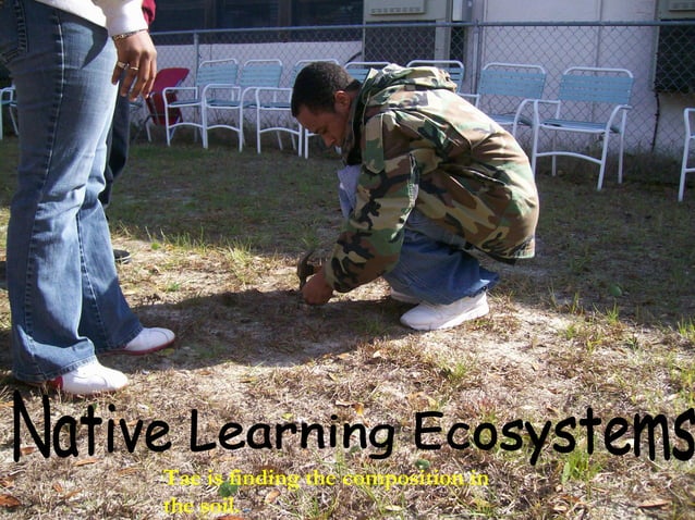 Native Learning Ecosystems - Our Outdoor Classroom | PPT