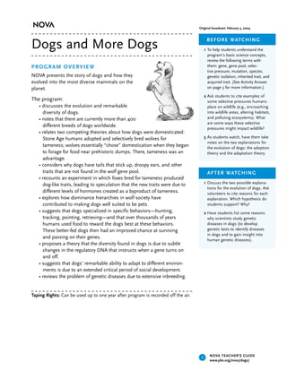 Dogs | PDF