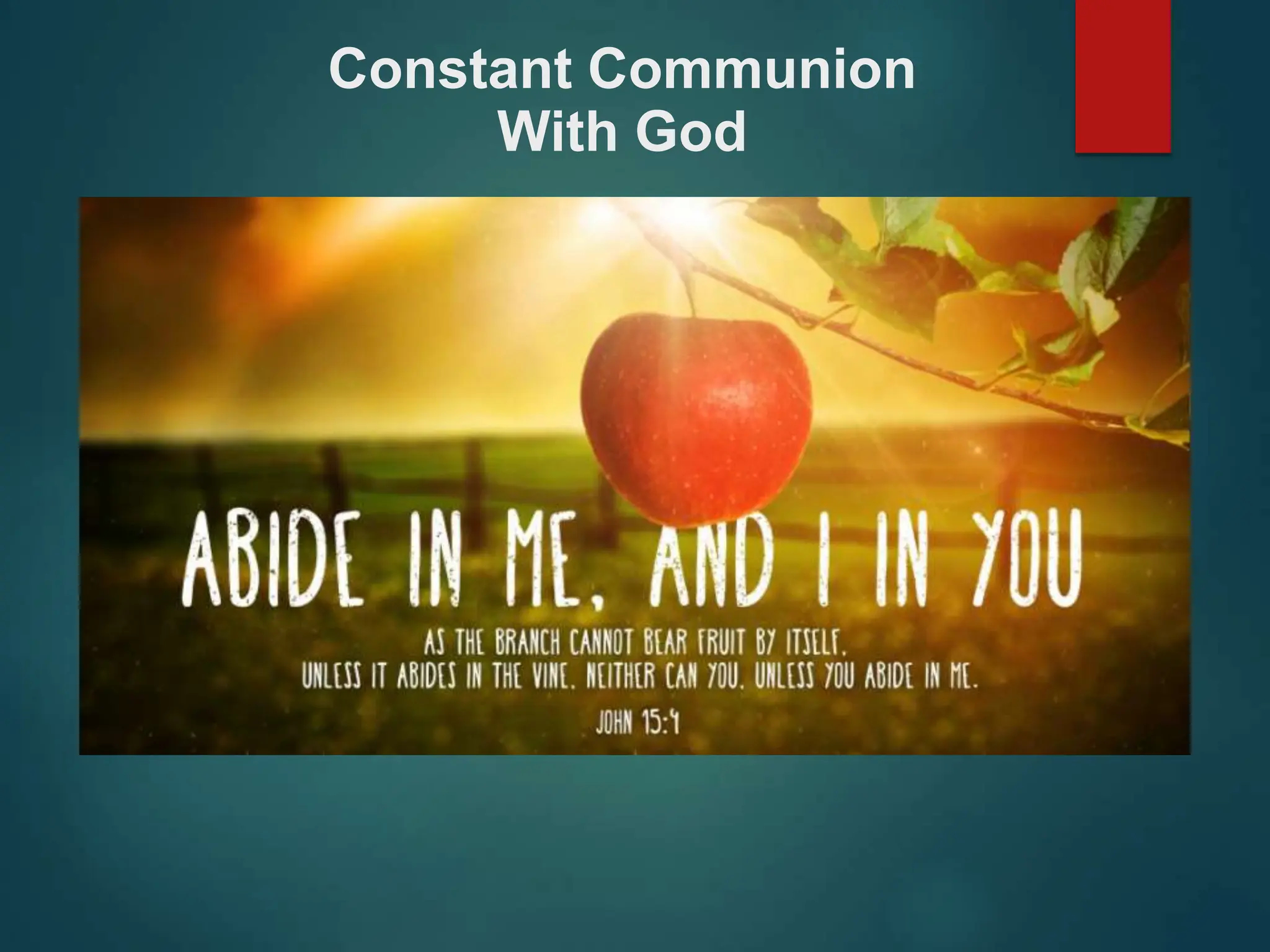 The Wise & The Foolish.ppt | Wedding | Personal Celebrations & Life Events