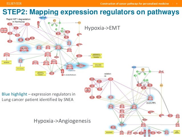 Construction of cancer pathways for personalized medicine