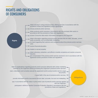 Consumers Protection in Financial Sector.pdf