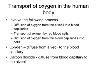 Science - Respiration - Form - 3 - PPT S | PPT | Lung and Respiratory ...