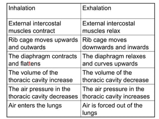 3123043913112-Respiration-Form-3-PPT.ppt