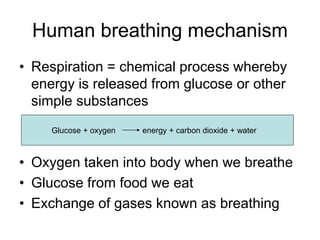 3123043913112-Respiration-Form-3-PPT.ppt