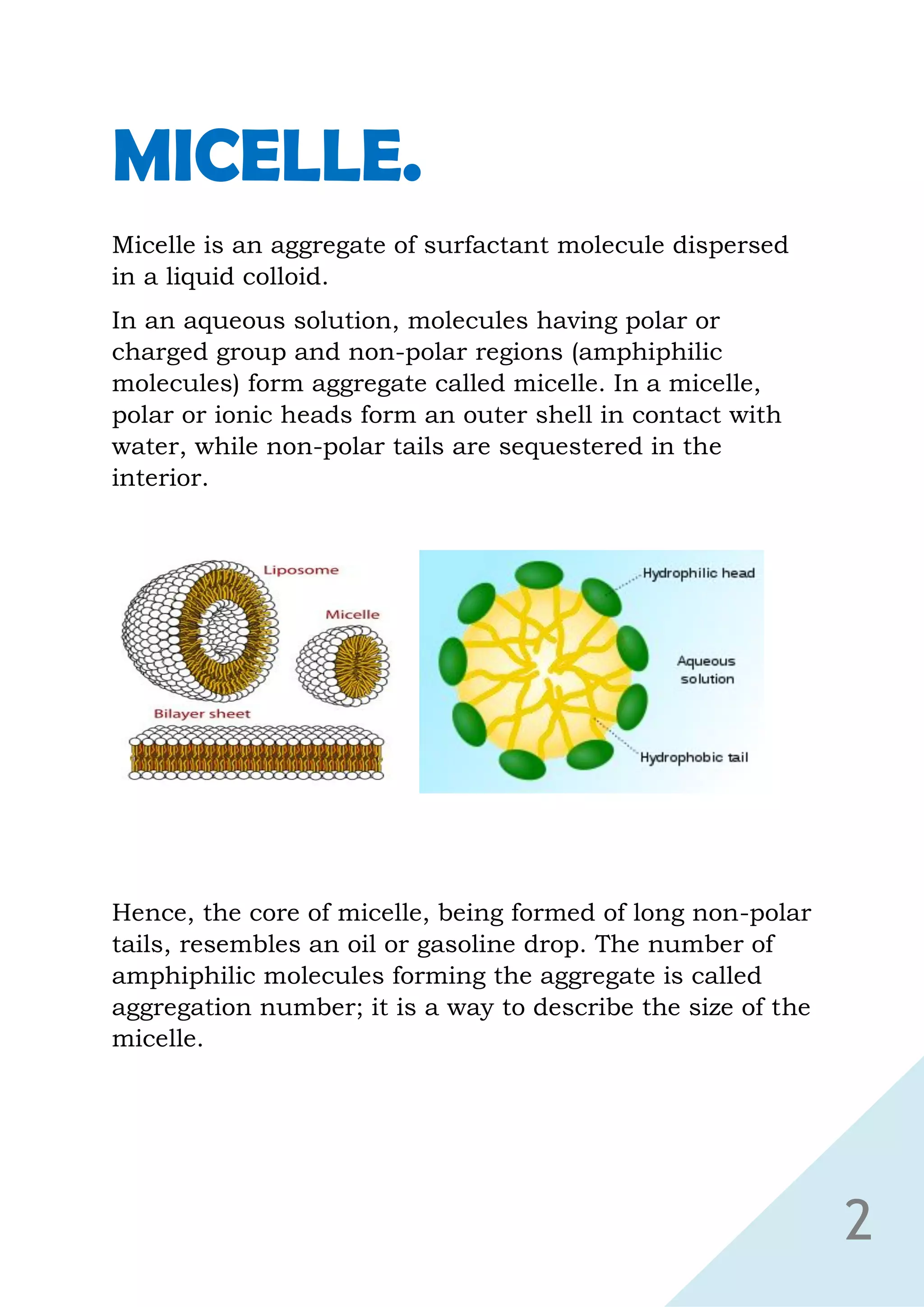 312331516-soap-making-project-for-cbse-class-12.pdf