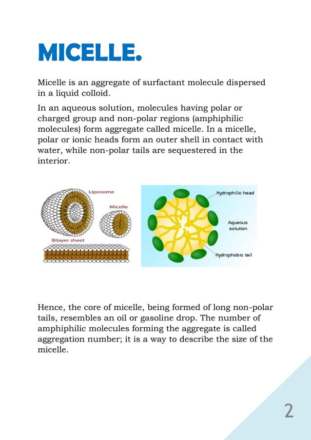 312331516-soap-making-project-for-cbse-class-12.pdf