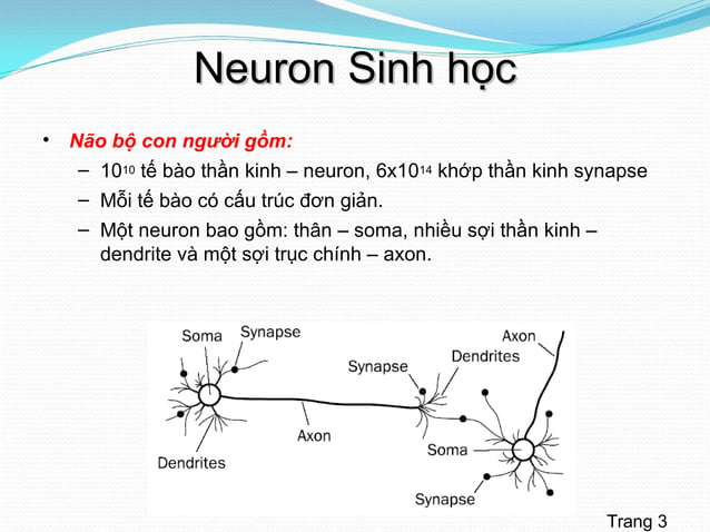 Bài Giảng Mạng Neuron Nhân Tạo - Neural Net | PDF
