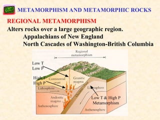 Metamorphic and types of the Metamorphism | PPT
