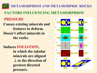 Metamorphic and types of the Metamorphism | PPT