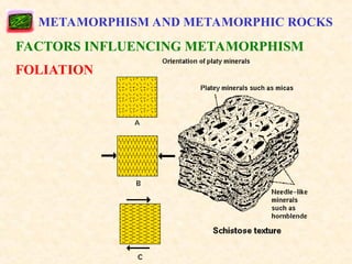 Metamorphic and types of the Metamorphism | PPT