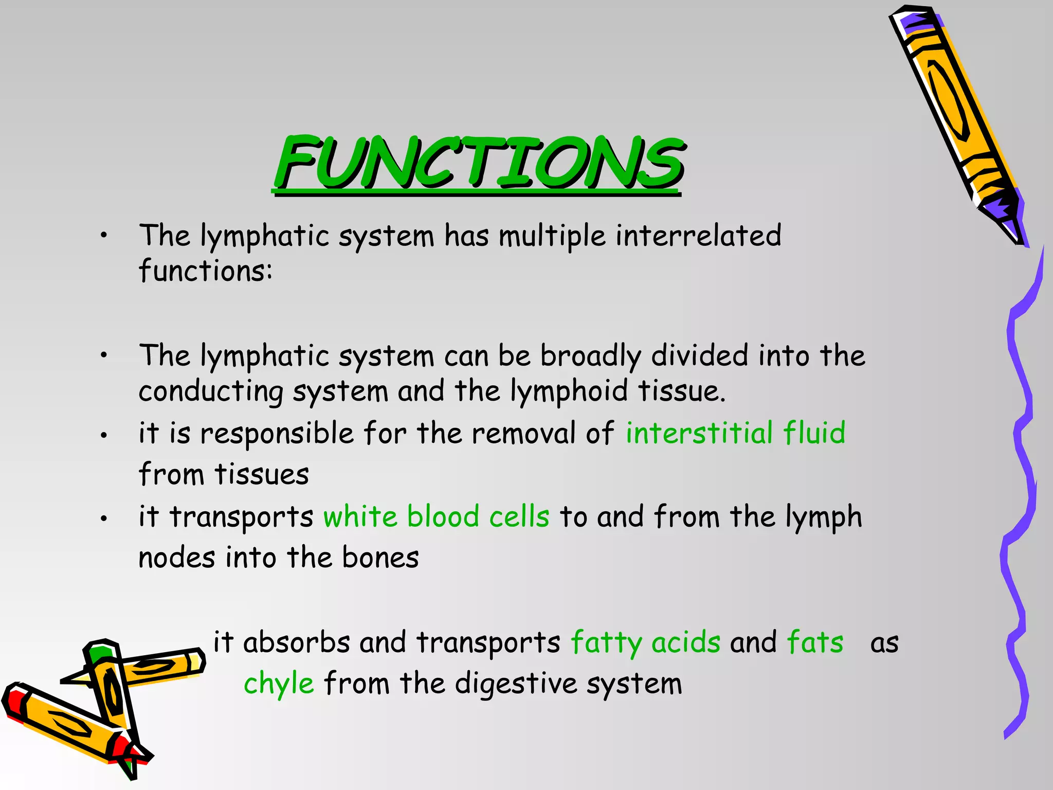 Lymphatic system | PPT