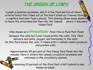 Lymphatic system | PPT