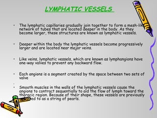 Lymphatic system | PPT
