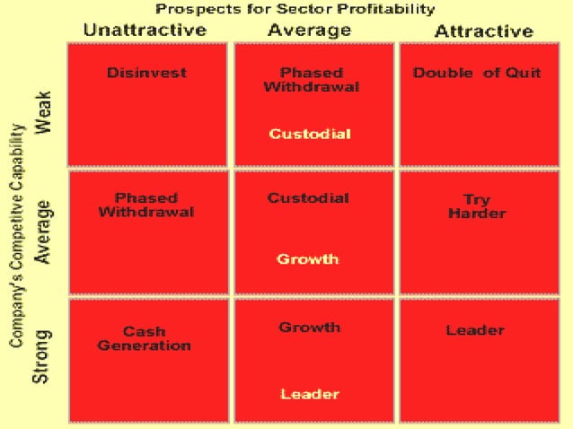 31363068 hofer’s-matrices-and-directional-policies | PPT | Business ...