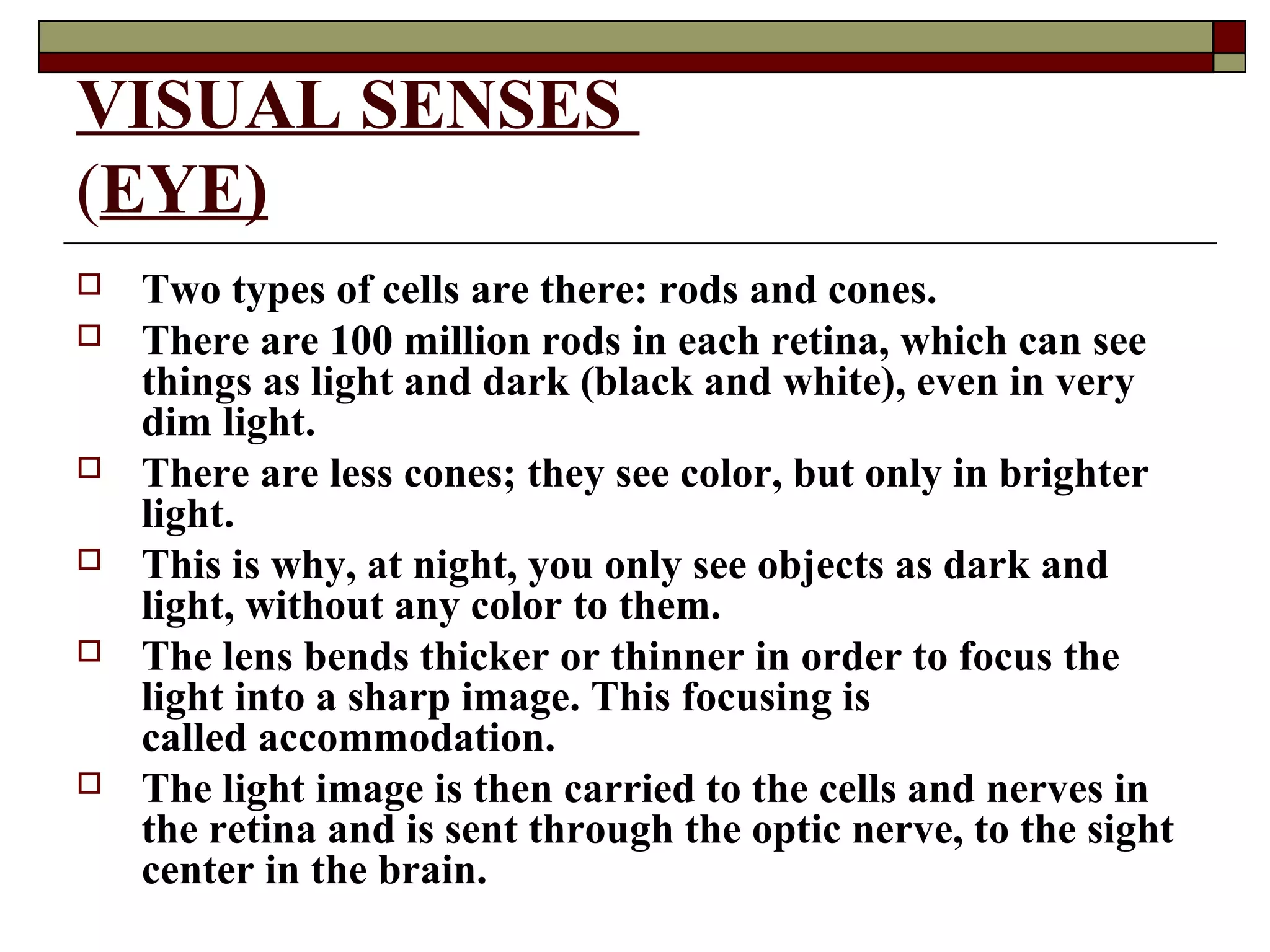 SPECIAL SENSES | PPT