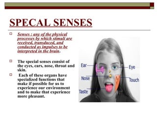 SPECIAL SENSES | PPT