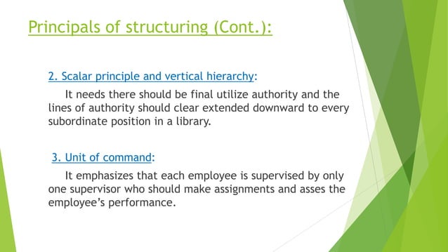 organizational structure of a library