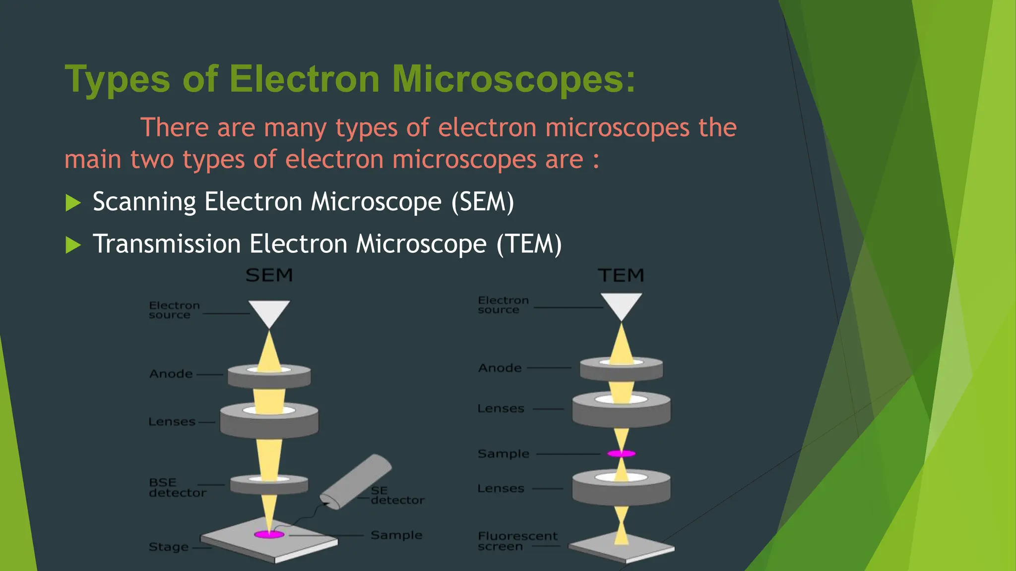 A detailed view on electron microscope.. | PPTX