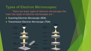 A detailed view on electron microscope.. | PPTX