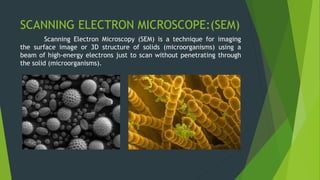 A detailed view on electron microscope.. | PPTX
