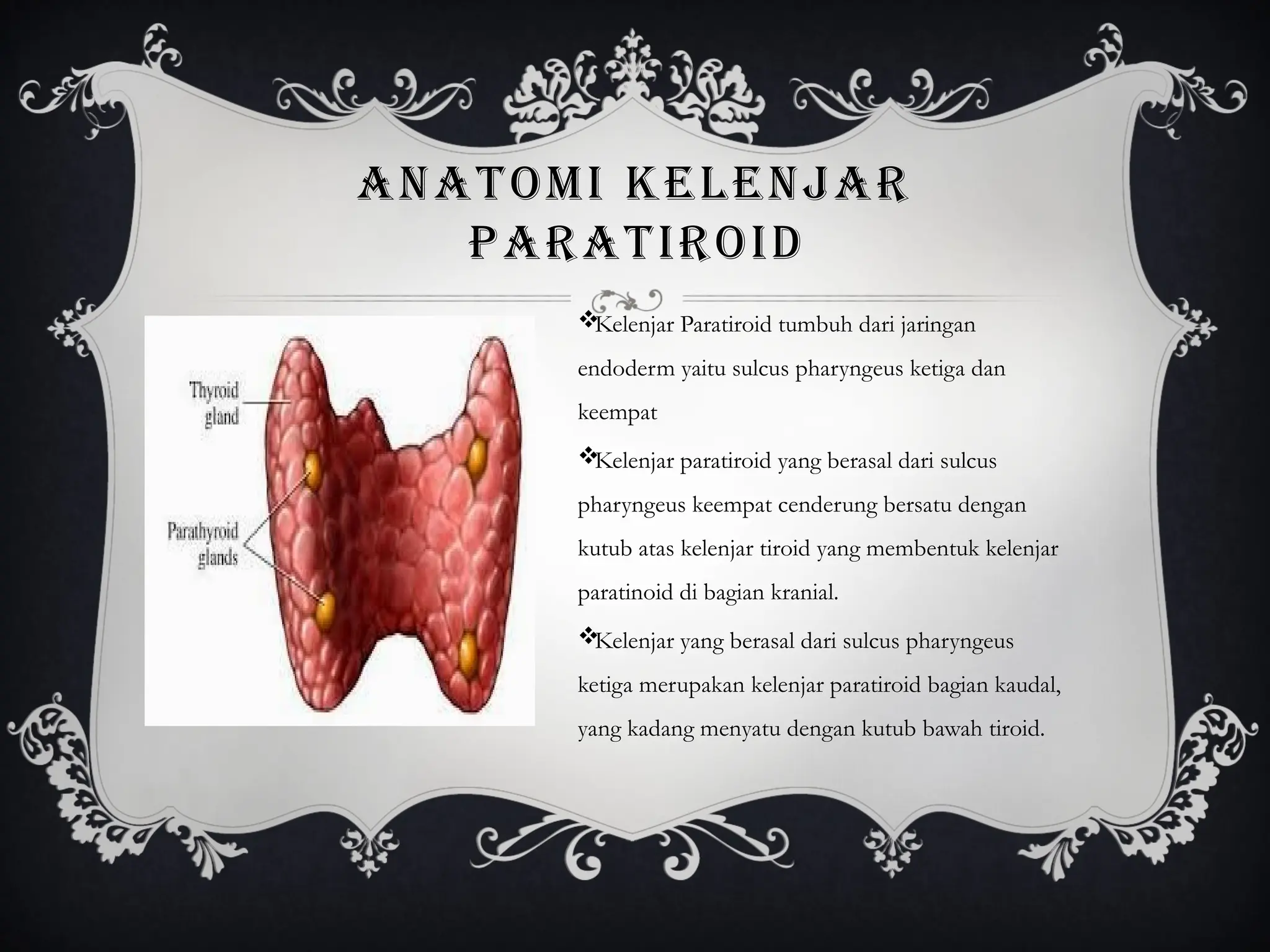 kelenjar paratiroid manusia dan fungsinya | PPTX