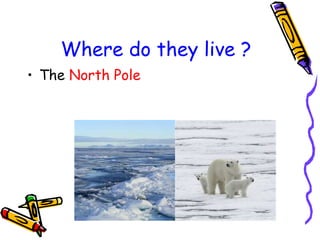 315 polar bears 英文ppt | PPT