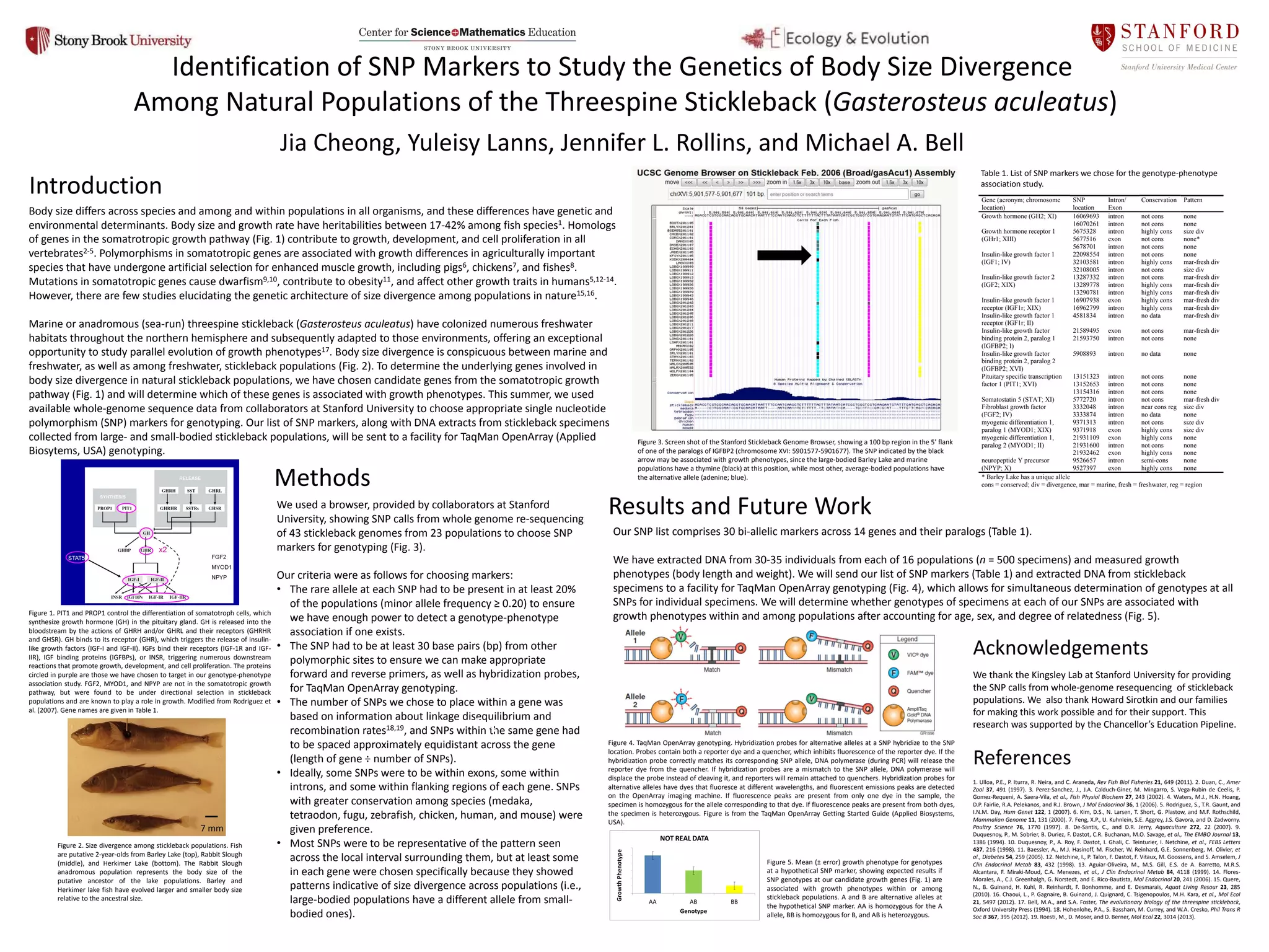 Poster Presentation PPT Jia Cheong draft 1 (1) | PPT