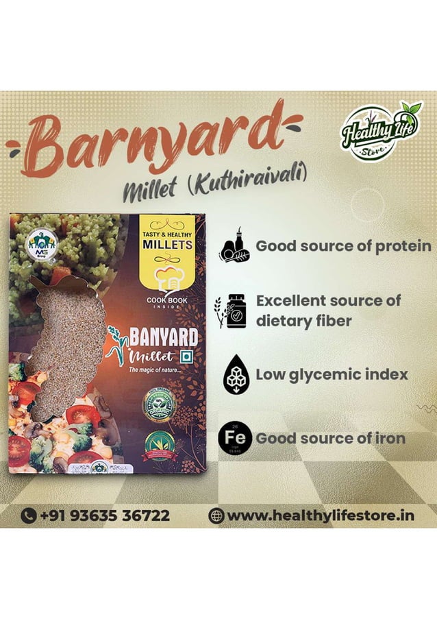 Barnyard Millet Properties | PDF