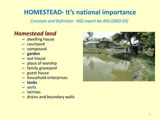 Homestead Production Systems in Sundarbans, West Bengal, India: Current ...