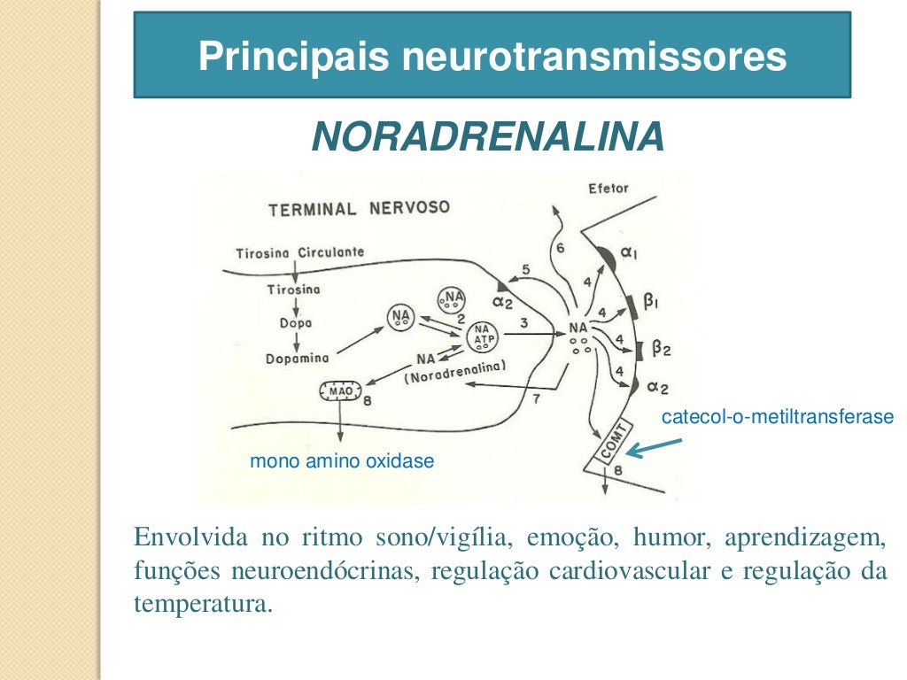 Quais São Os Fármacos Que Atuam No Sistema Nervoso Central - RETOEDU
