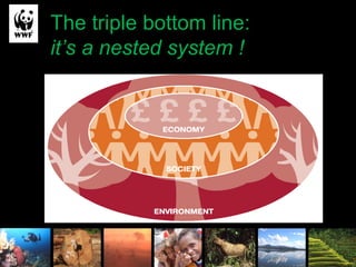 318183615-Dampak-Ekonomi-Perubahan-Iklim.ppt