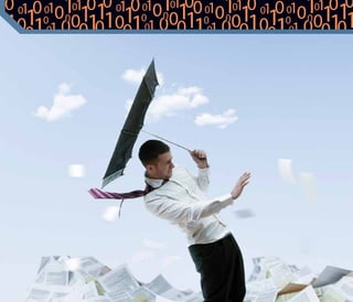 InfoFort Profile (EN) | PDF