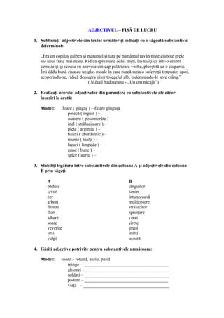 31adjectivul | PDF