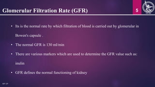 Diuretics and Electrolyte Balance | PPTX