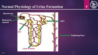 Diuretics and Electrolyte Balance | PPTX