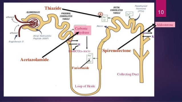 Diuretics and Electrolyte Balance