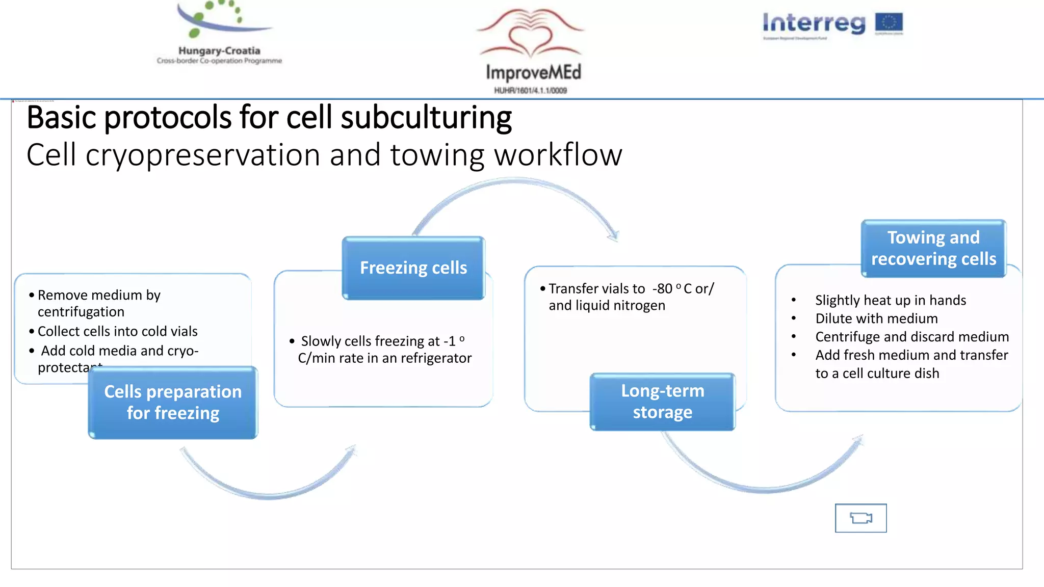 Cell culture basic techniques | PPTX