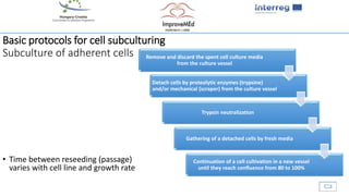 Cell culture basic techniques | PPTX