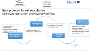 Cell culture basic techniques | PPTX