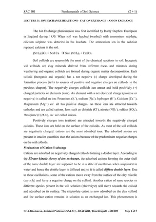 Ion Exchange Reactions in Soil Science | PDF