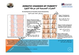 31 puberty and disorders of pubertal development dr.hisham al hammami ...