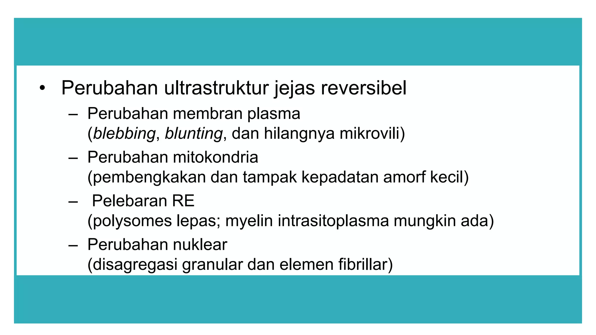 31_respon sel dari stres dan toksik.pptx