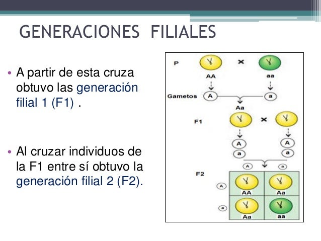Variacion en la expresion (Genetica Medica)